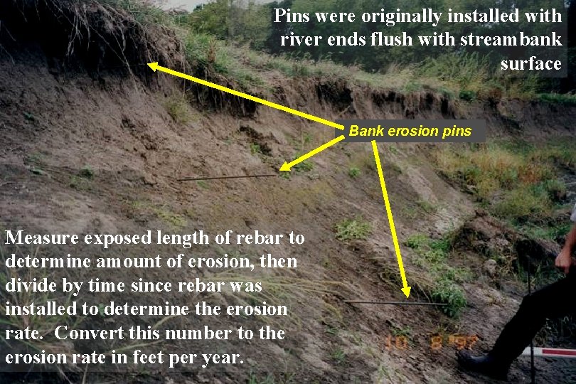 BANK EROSION PINS By Dave Derrick Potomologist VP