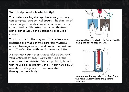 SPARK OF LIFE How does your body react