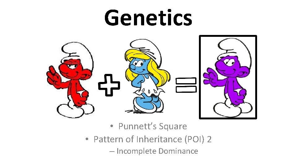 Genetics Punnetts Square Pattern of Inheritance POI 2