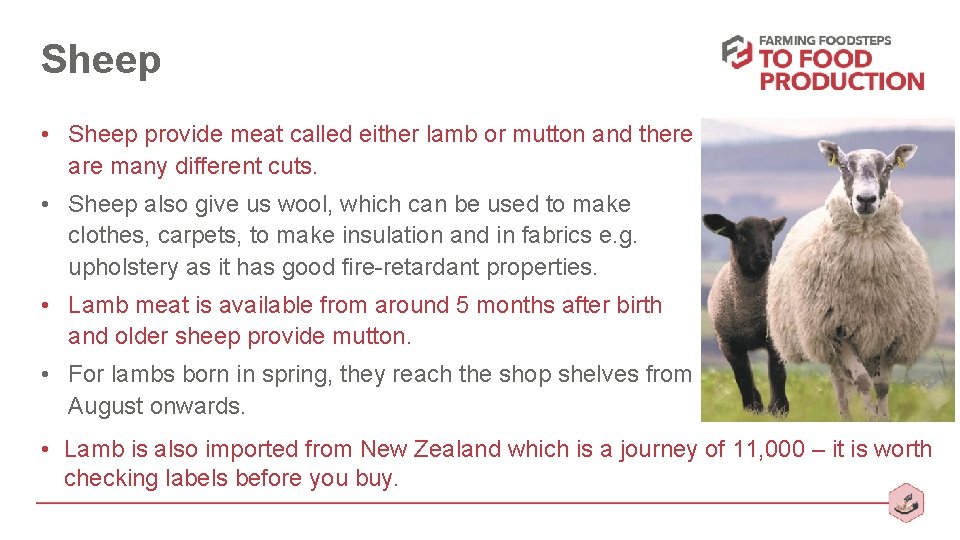 PRESENTATION Lesson 3 Food Production Packaging Careers Session