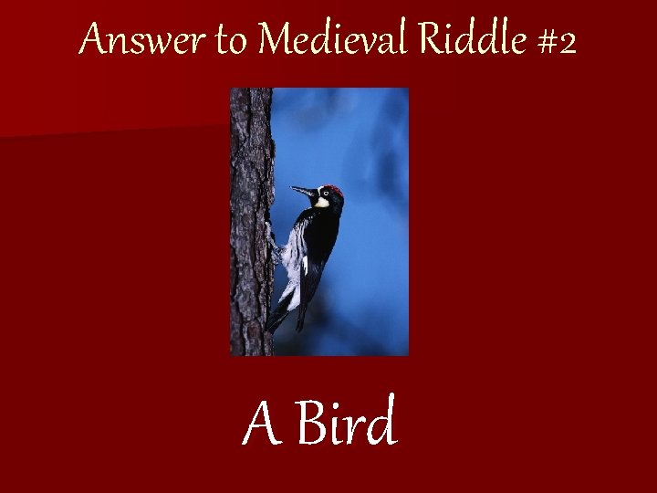 n Born Geoffrey Chaucer in London 1343 son