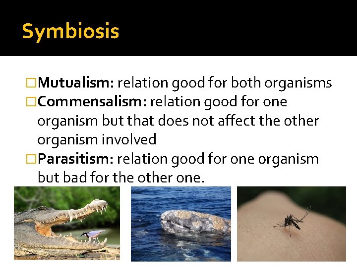 Biological Diversity Unit Test Review Variation why is