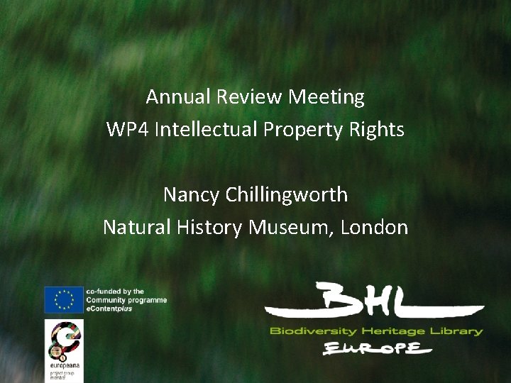 Annual Review Meeting WP 4 Intellectual Property Rights