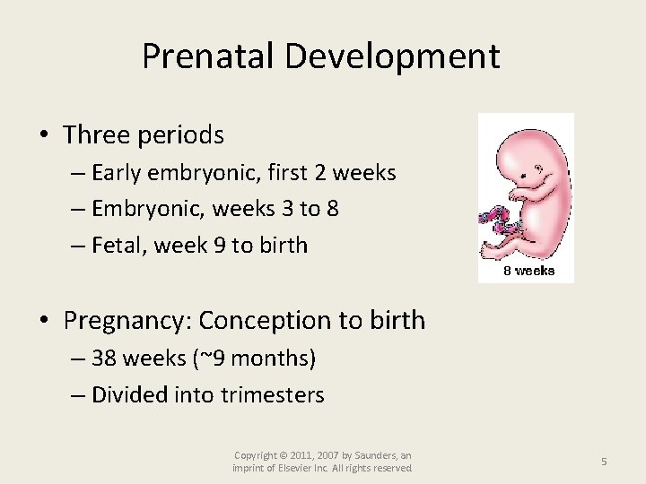 The Human Body in Health and Illness 4
