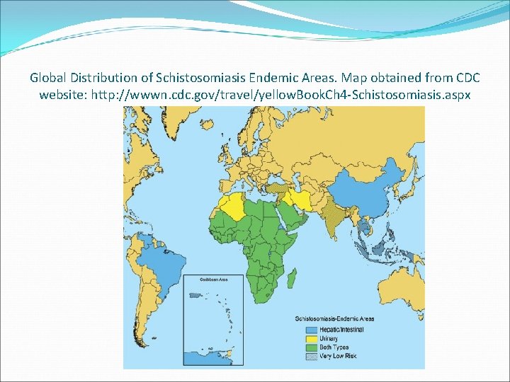 Environmental Health Schistosomiasis Is it a Neglected Tropical
