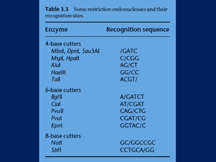 Restriction Enzymes KAMAL KUMAR GUPTA Restriction Enzymes Nobel