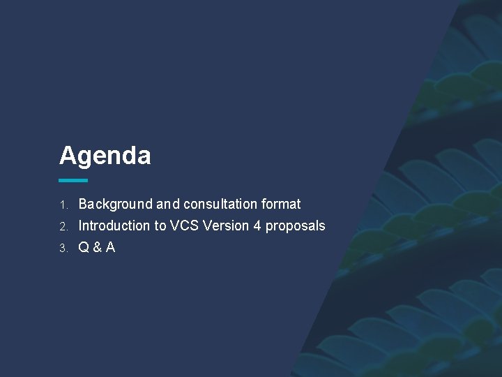 Introduction to VCS Version 4 Consultation Sam Hoffer