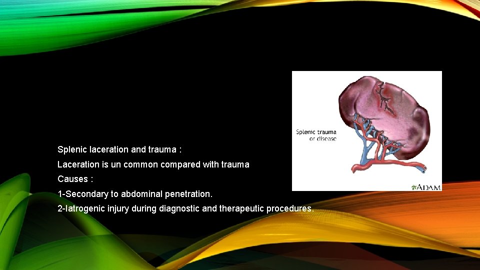 SPLEEN AFFECTIONS PART 2 By DR BASSIM KADHIM