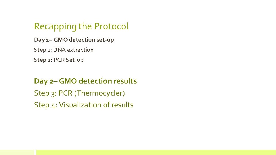 GMO Detection Lab Day 2 Visualization of Results