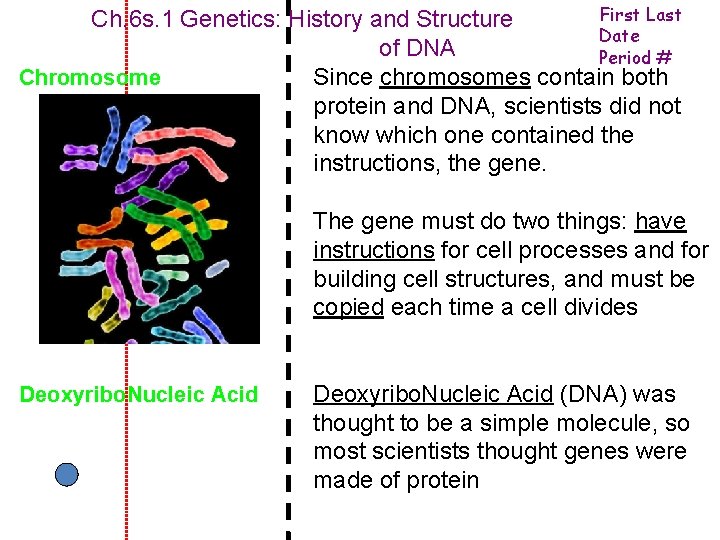 First Last Ch 6 s 1 Genetics History