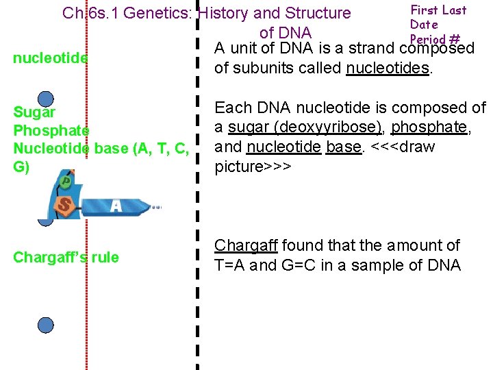 First Last Ch 6 s 1 Genetics History
