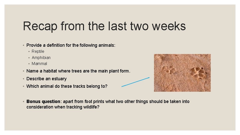 Recap from the last two weeks Provide a