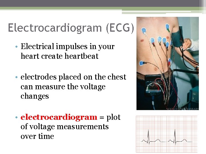 12 2 Monitoring the Circulatory System SBI 3
