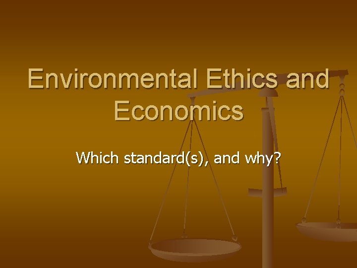 Environmental Ethics and Economics Which standards and why