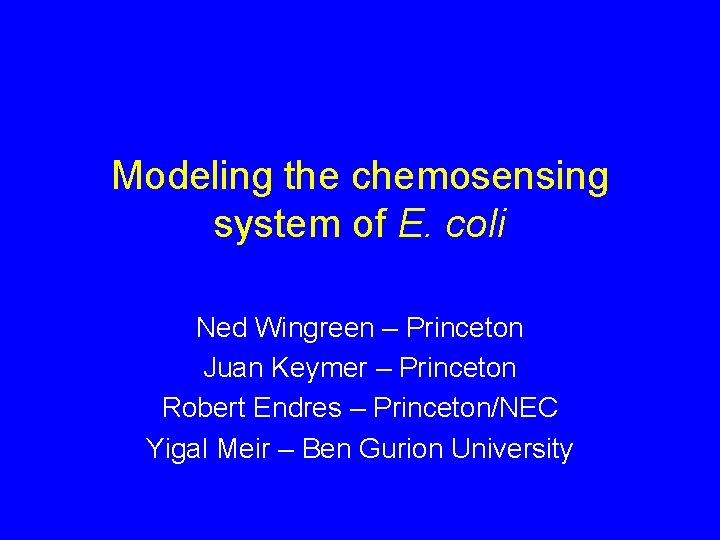 Modeling the chemosensing system of E coli Ned