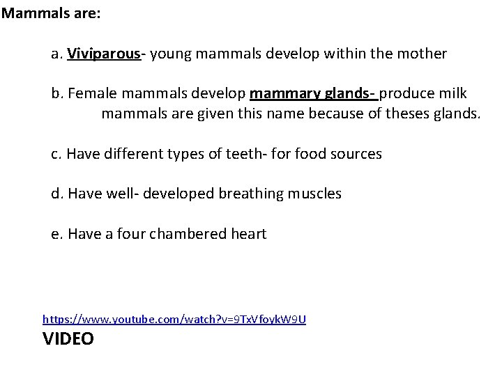 Mammals What is a Mammal a Mammals are