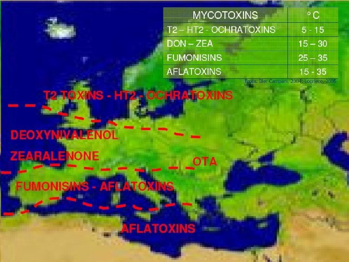 Acute Chronic HIGH Microbiological Phycotoxins Some phytotoxins Mycotoxins