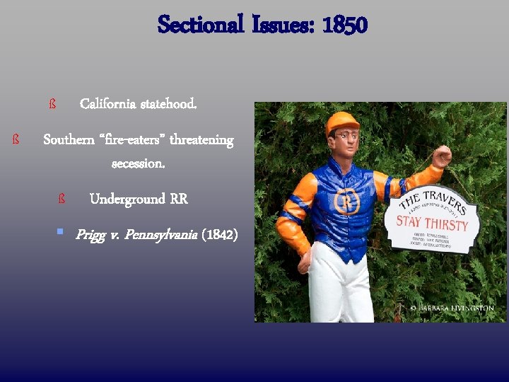 Road to the Civil War Sectional Issues 1850