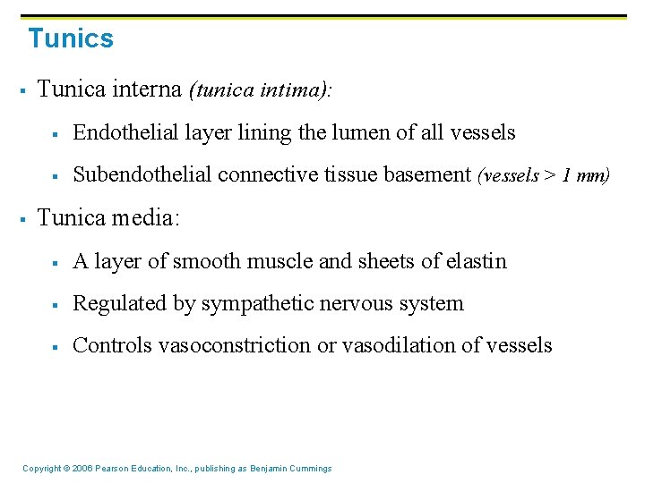 Chapter 19 BLOOD VESSELS Part A Copyright 2006