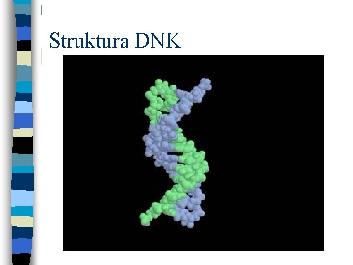 Struktura i funkcija genetikog materijala Biohemijska genetika molekularna