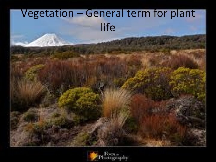 Large Natural Environments Exam Thursday 22 nd November