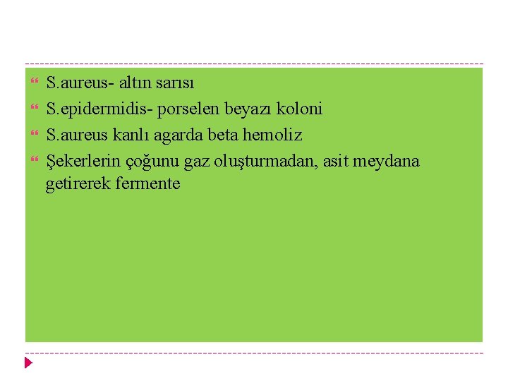 STAPHYLOCOCCUS Staphyloc occus Micrococcus Planococcus Aerop fakltatif ...