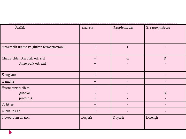 STAPHYLOCOCCUS Staphyloc occus Micrococcus Planococcus Aerop fakltatif ...