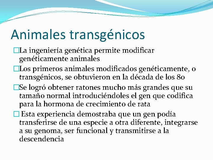 Animales transgenicos Animales transgnicos La ingeniera gentica permite