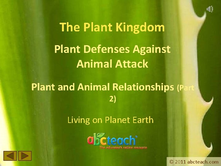 The Plant Kingdom Plant Defenses Against Animal Attack