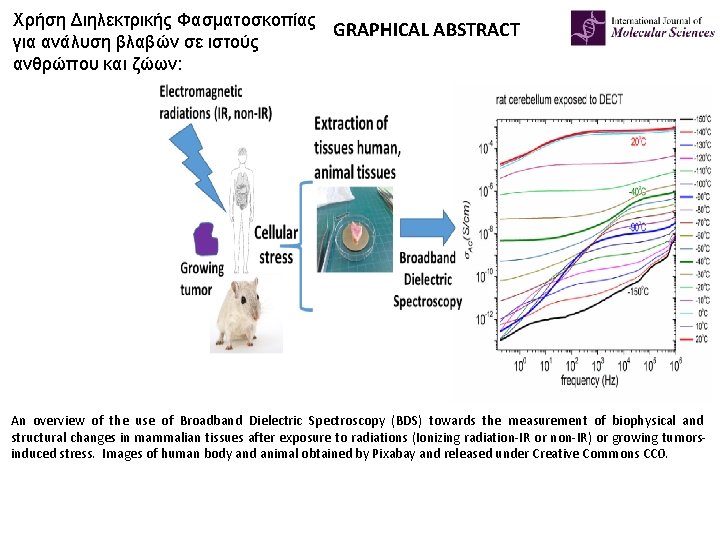 Frequency response analyzer Novocontrol Alpha Analyzer 10 5