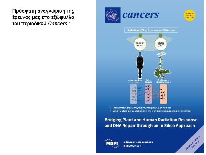 Frequency response analyzer Novocontrol Alpha Analyzer 10 5