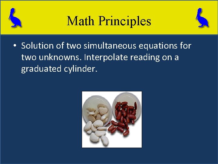 Math Lab 9 Some More Beans Please Purpose