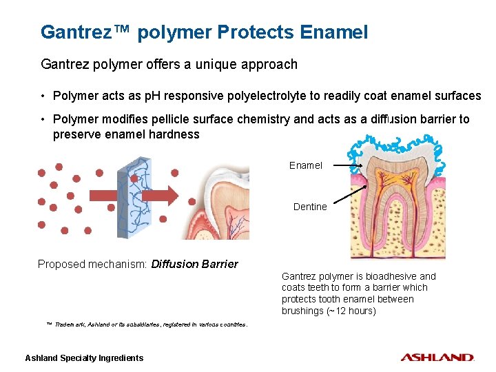 Gantrez S polymers Protection of enamel from dietary
