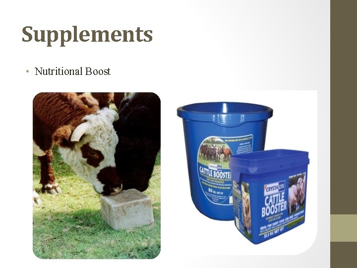 WUFFDA Software For Feed Formulation Fahar Ibtisham 2251502595