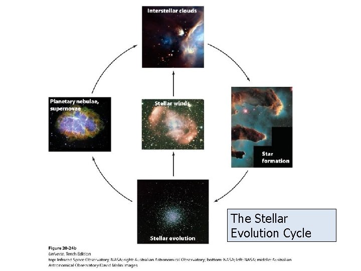 The Building Blocks of Creation Andrew Rivers Northwestern