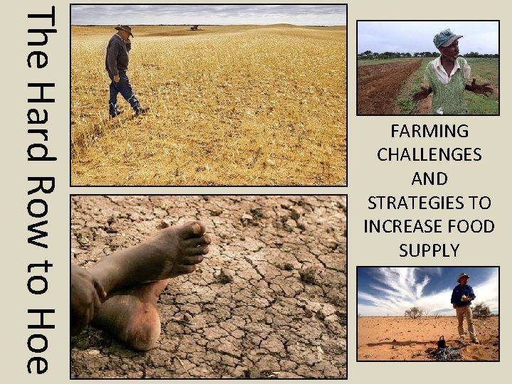 The Hard Row to Hoe FARMING CHALLENGES AND