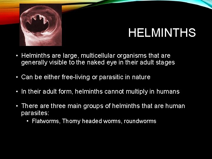PARASITES VOCABULARY Medical parasitology the study and medical