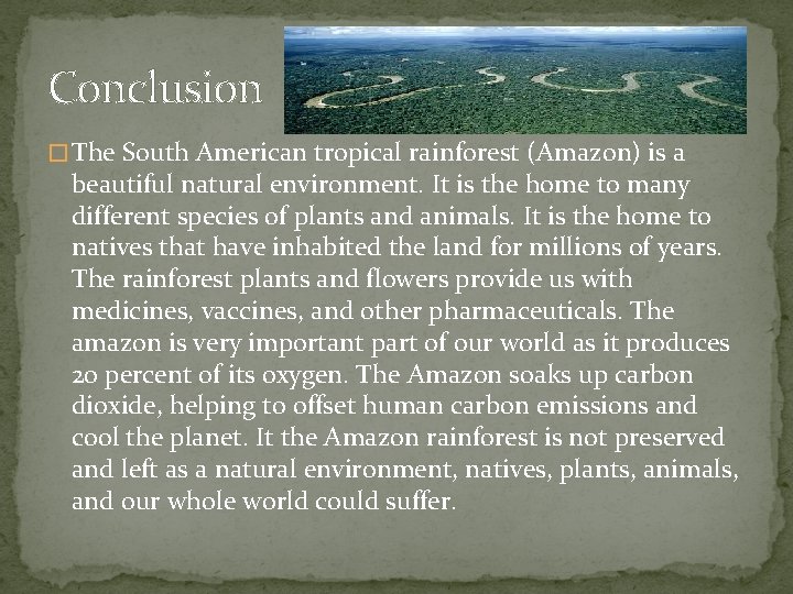 The South American Tropical Rainforest The Amazon The