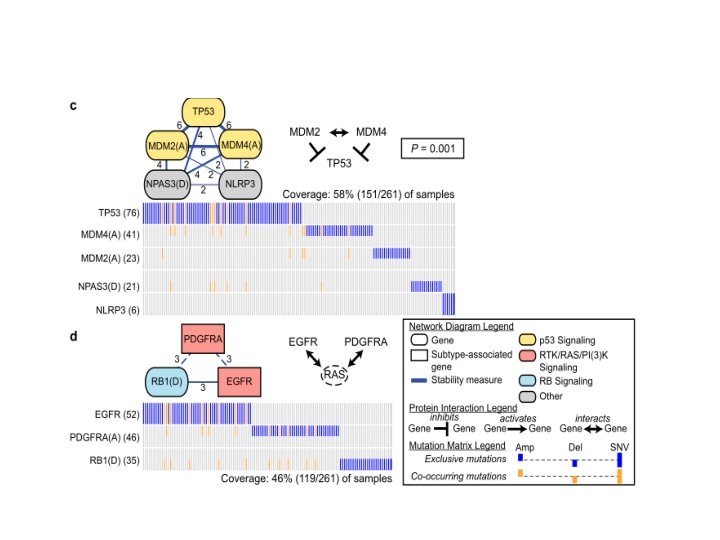 Simultaneous Identification of Multiple Driver Pathways in Cancer