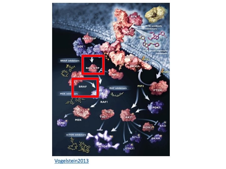 Simultaneous Identification of Multiple Driver Pathways in Cancer