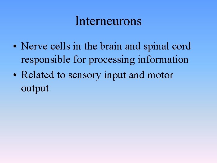 Braintastic The Nervous System and the Endocrine System