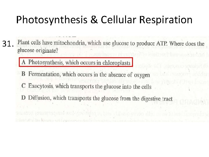 Photosynthesis Cellular Respiration 26 Which two processes are
