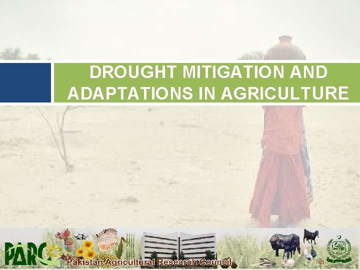 DROUGHT MITIGATION AND ADAPTATIONS IN AGRICULTURE 1 2