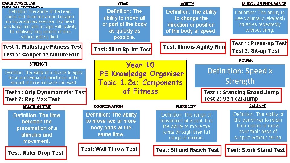SPEED CARDIOVASCULAR ENDURANCESTAMINA Definition The ability to move