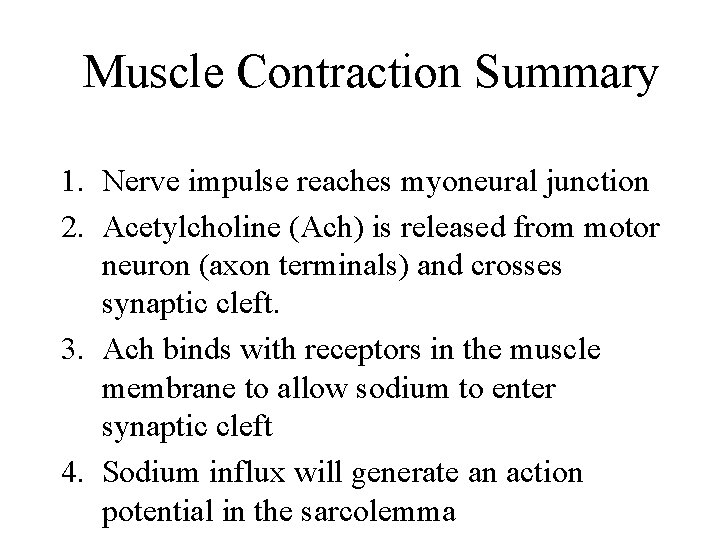 Skeletal Muscle Physiology Muscular System Functions Body movement