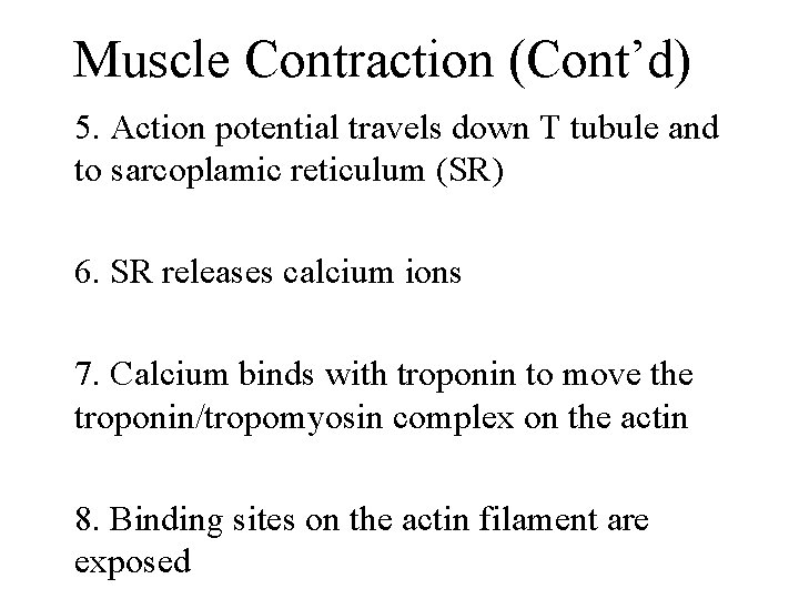 Skeletal Muscle Physiology Muscular System Functions Body movement