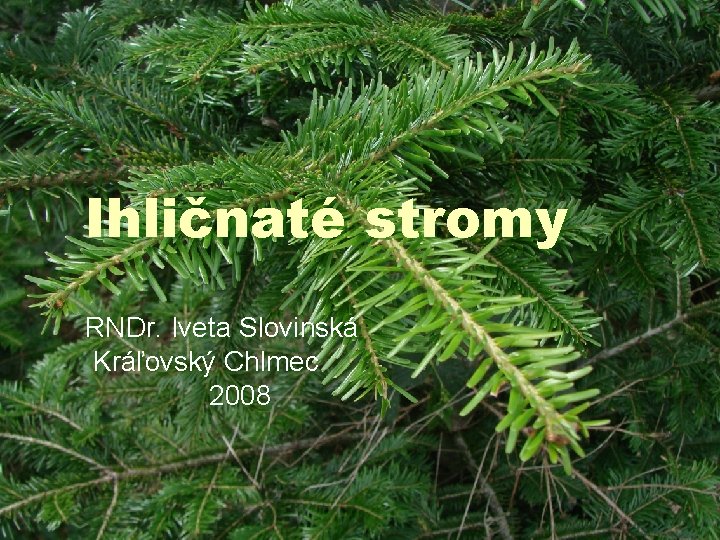 Ihlinat stromy RNDr Iveta Slovinsk Krovsk Chlmec 2008