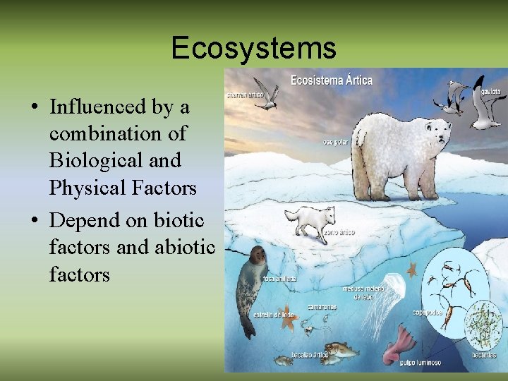 The Biosphere Mr Norris Day 1 Objective I