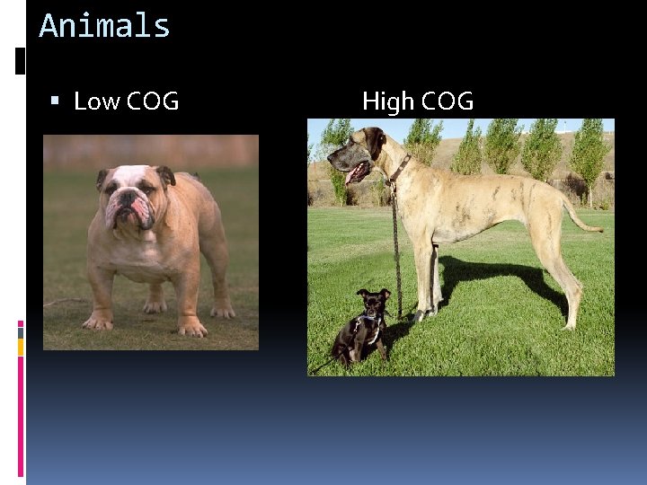 CENTER OF GRAVITY Center of Gravity COG DefinitionThe