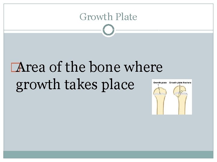 Injuries to the Muscles Bones and Joints MUSCLES